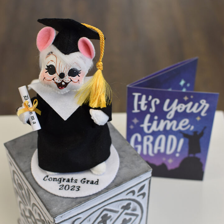 6in Personalized Graduation Mouse - Annalee Dolls