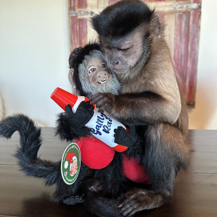 11in Gaitlyn Rae - Dooters - Annalee Dolls